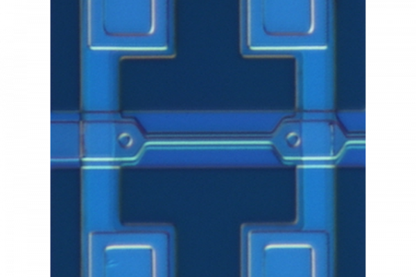 Wisconsin Quantum Institute – Quantum Science and Engineering at UW ...